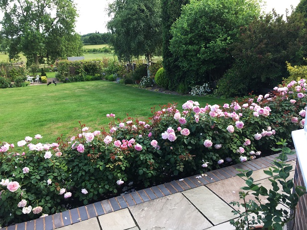Open Gardens – Edingale Parish Council