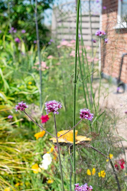 Open Gardens – Edingale Parish Council